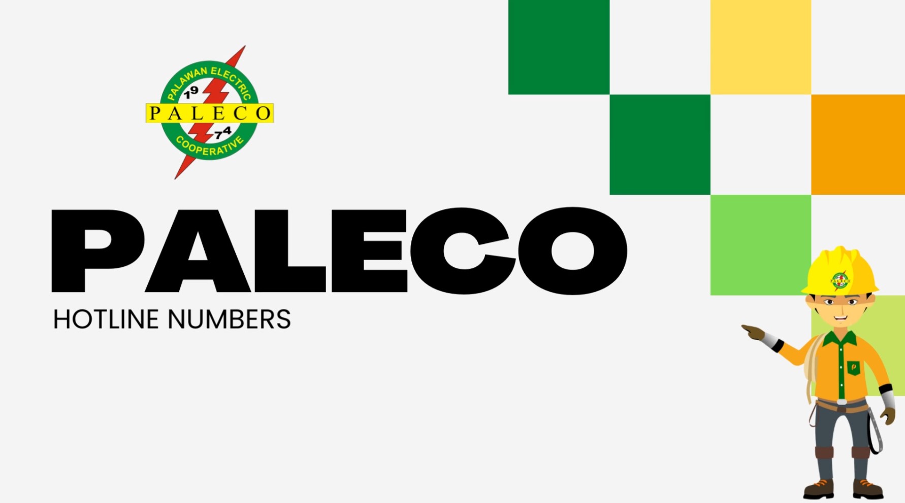 PALECO HOTLINES (MAIN)