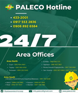 Home | Palawan Electric Cooperative