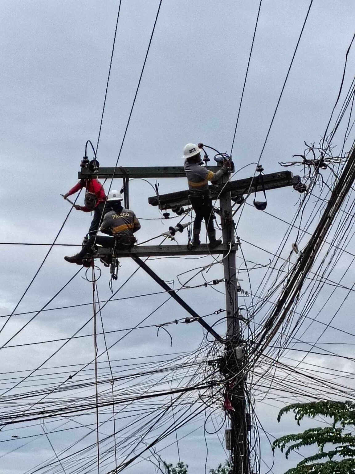 Palawan Electric Cooperative – PALECO ay palaguin, ito ay atin!